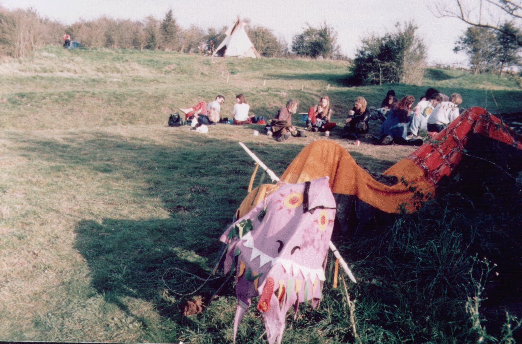 Twyford Rising | Now a book that tells the story of an environmental ...